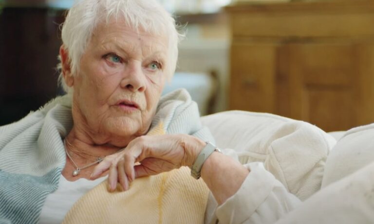 Dame Judi Dench Net Worth 2025: Career Earnings, Wealth, and Awards ...